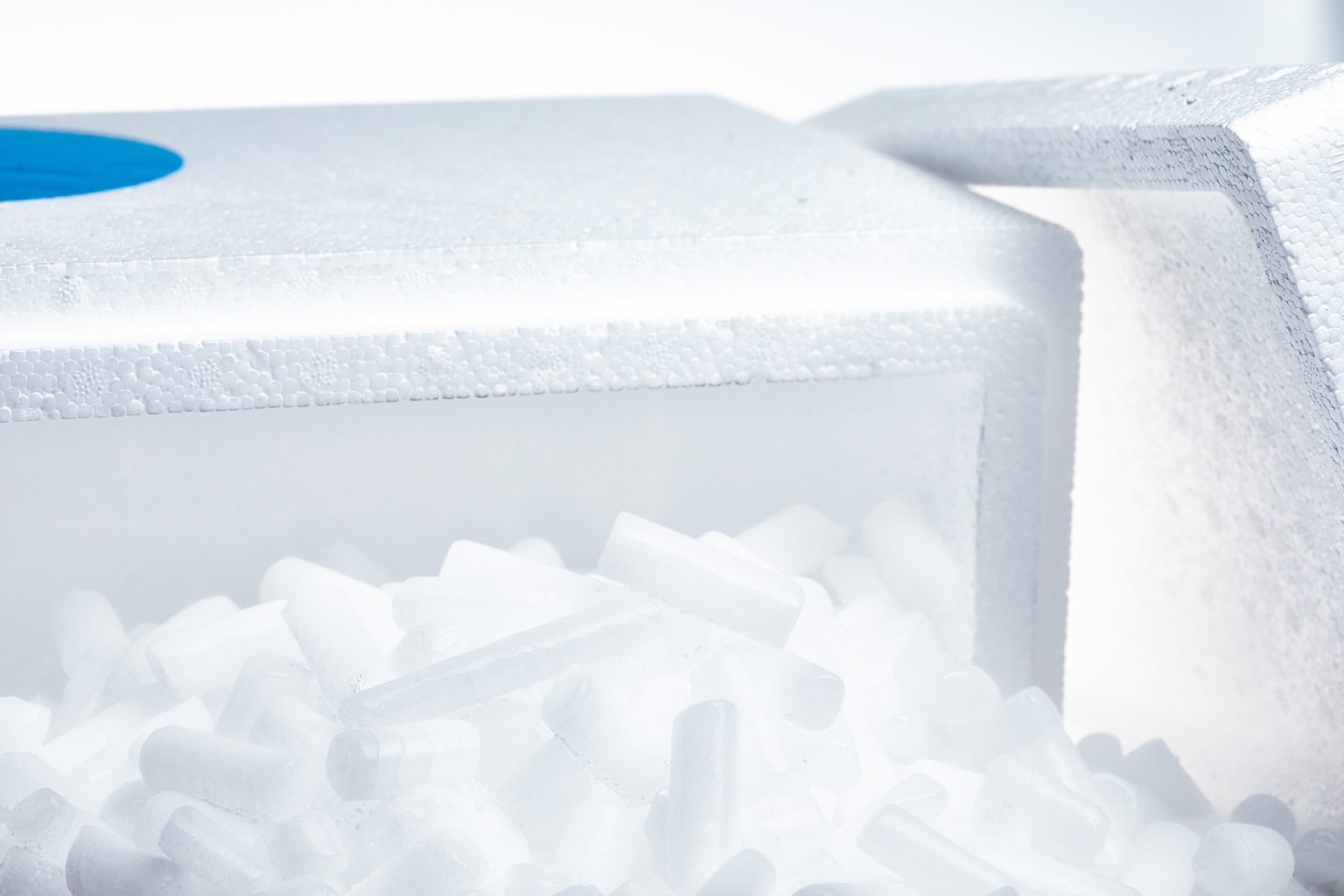 Trockeneis kaufen mit 24h Express-Lieferung | Trockeneis.shop